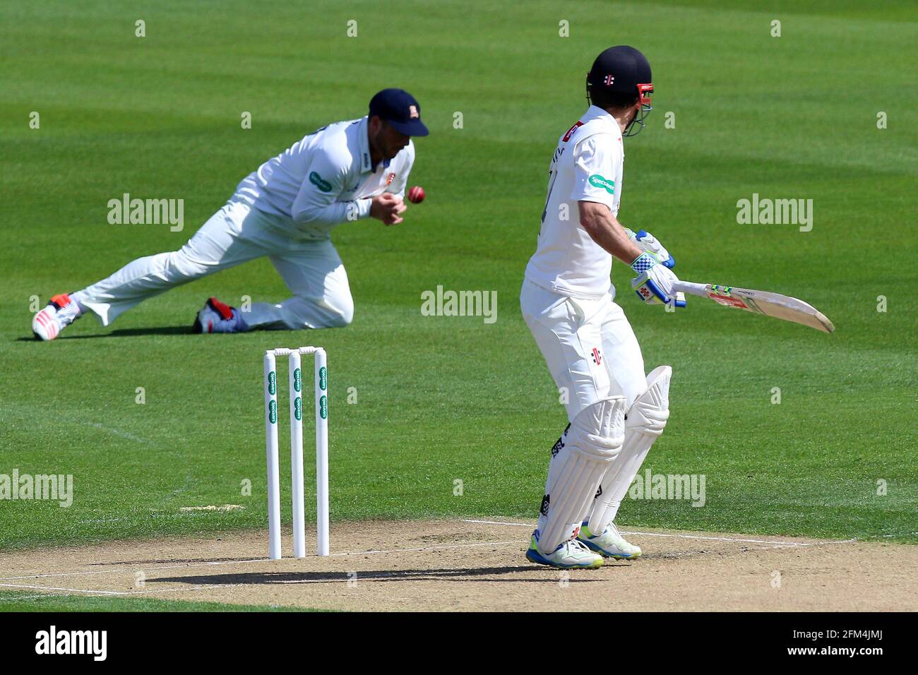 Cricket player catching ball hi-res stock photography and images - Alamy