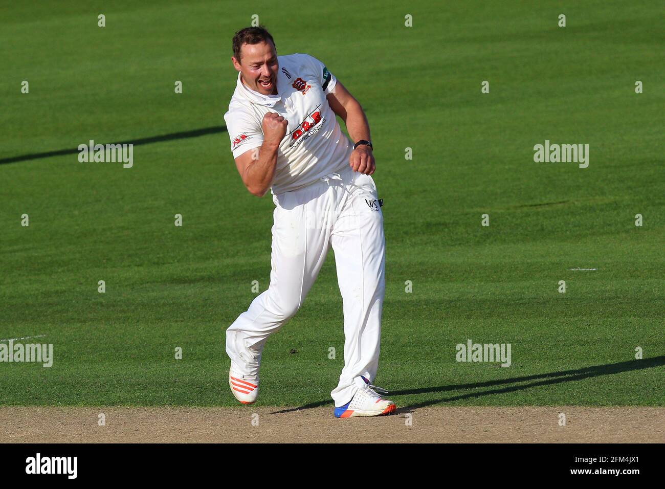 Graham Napier of Essex celebrates taking the wicket of Oliver Robinson ...