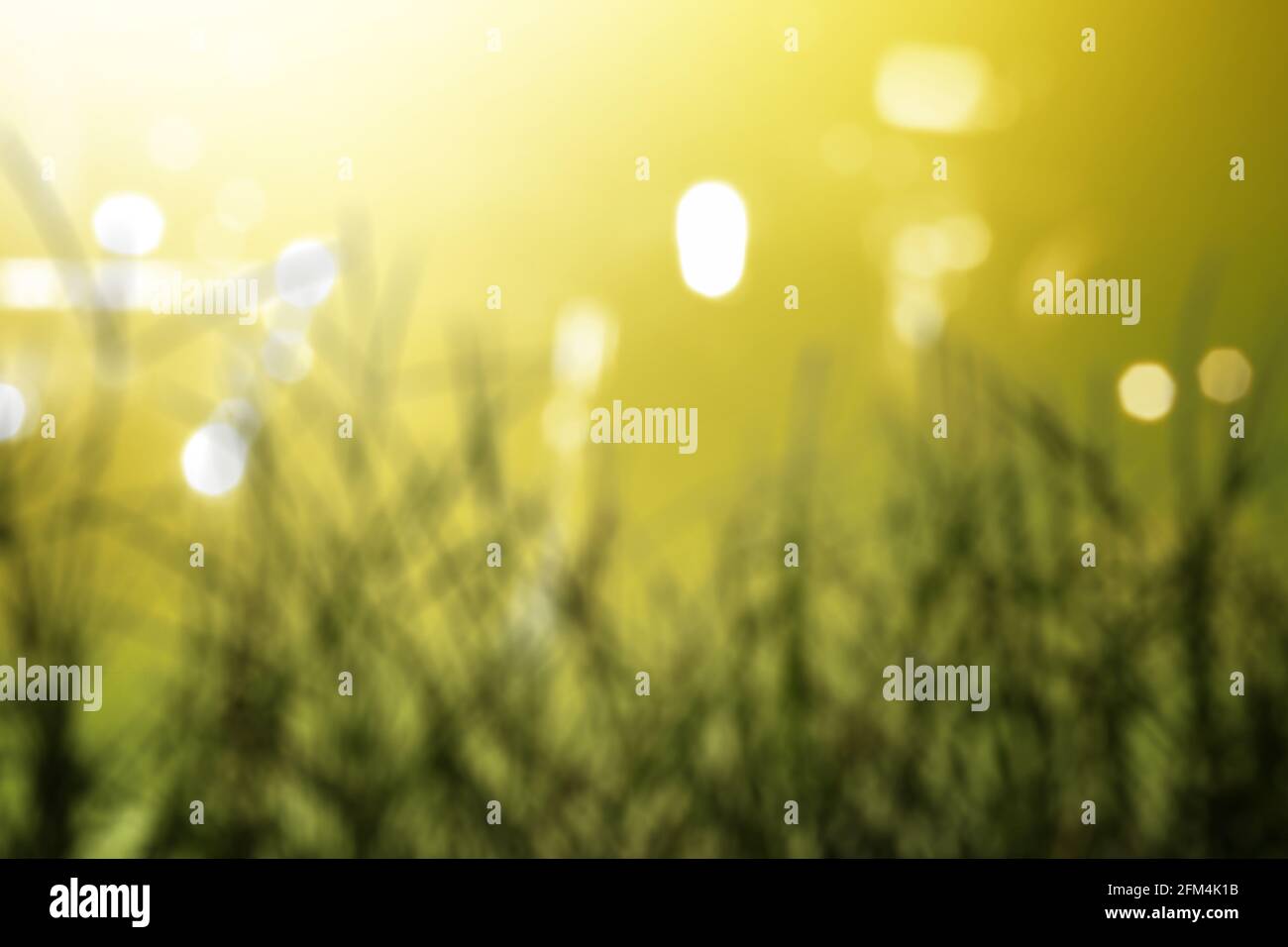 Ground with blurred light background. World environment day Stock Photo ...