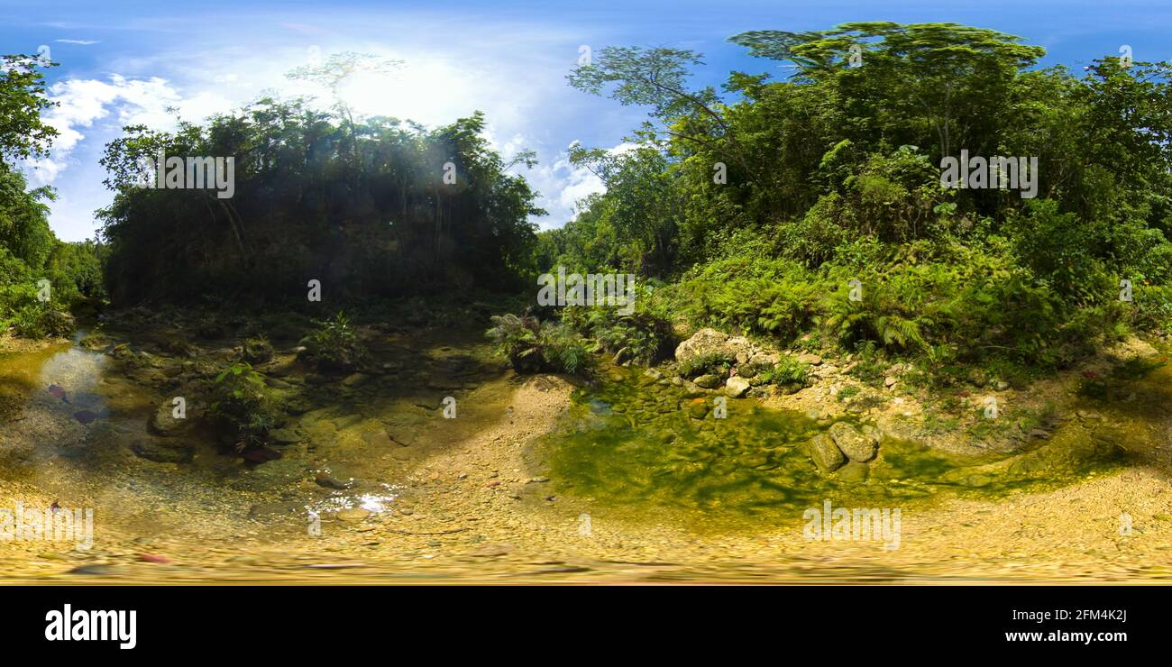 360 jungle hi-res stock photography and images - Alamy