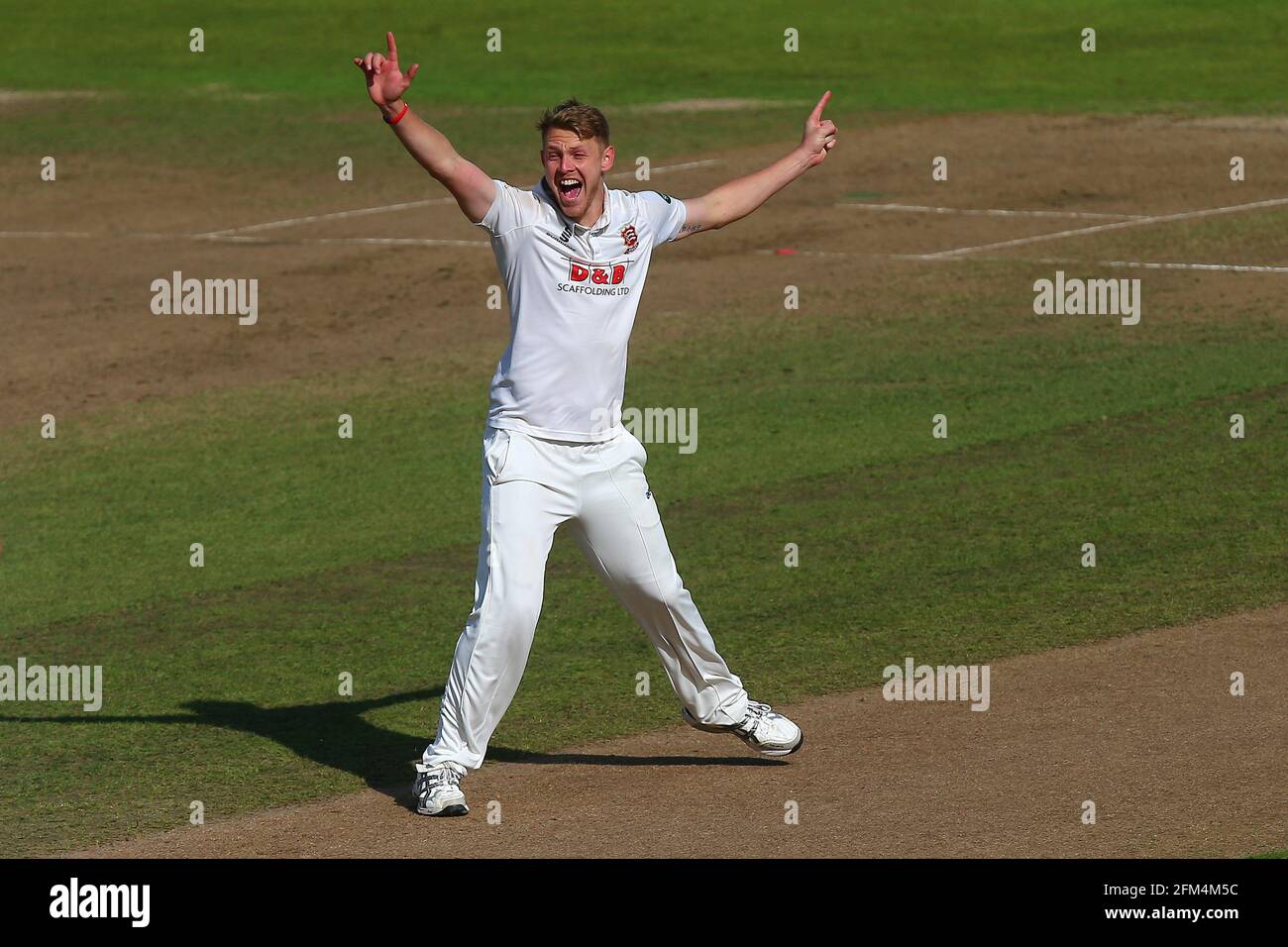 Jamie Porter of Essex celebrates taking the wicket of Jonathan Trott ...