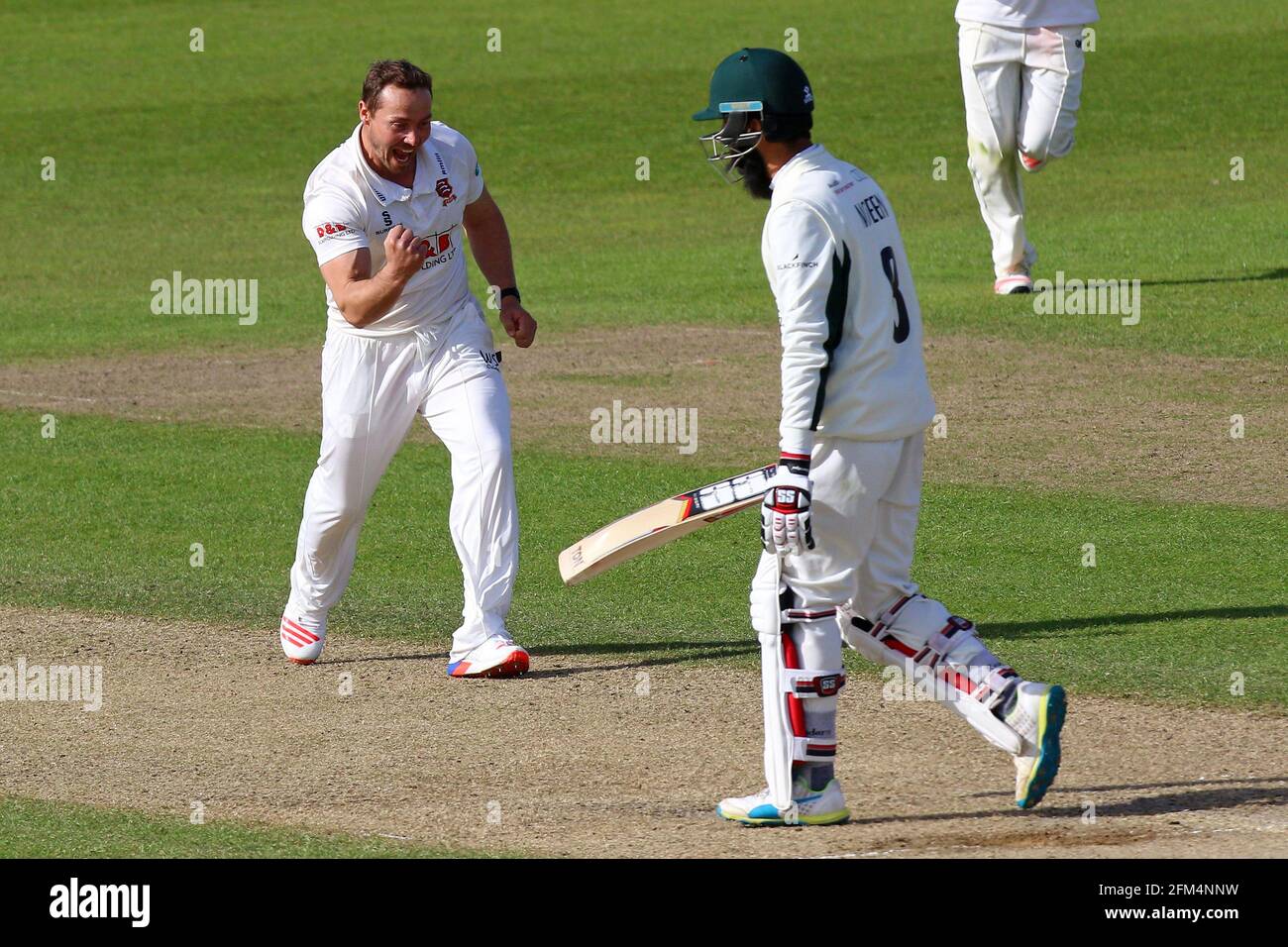 Graham Napier of Essex celebrates taking the wicket of Mooen Ali during ...