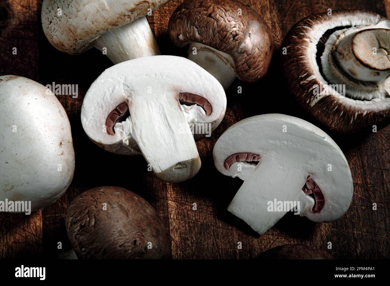 Champignons spores hi-res stock photography and images - Alamy