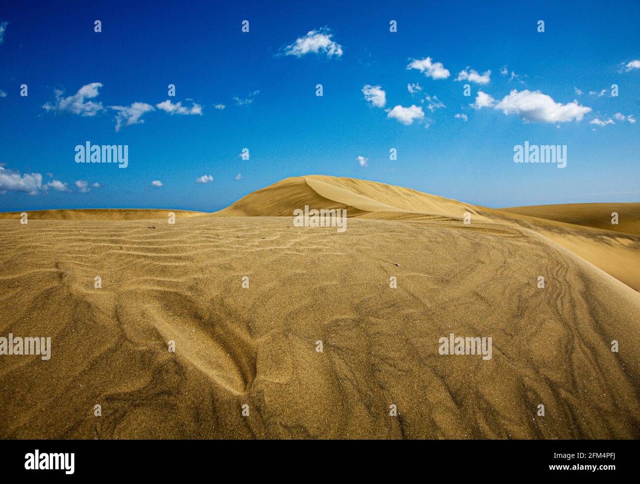 Sand structure in a dune landscape Stock Photo - Alamy