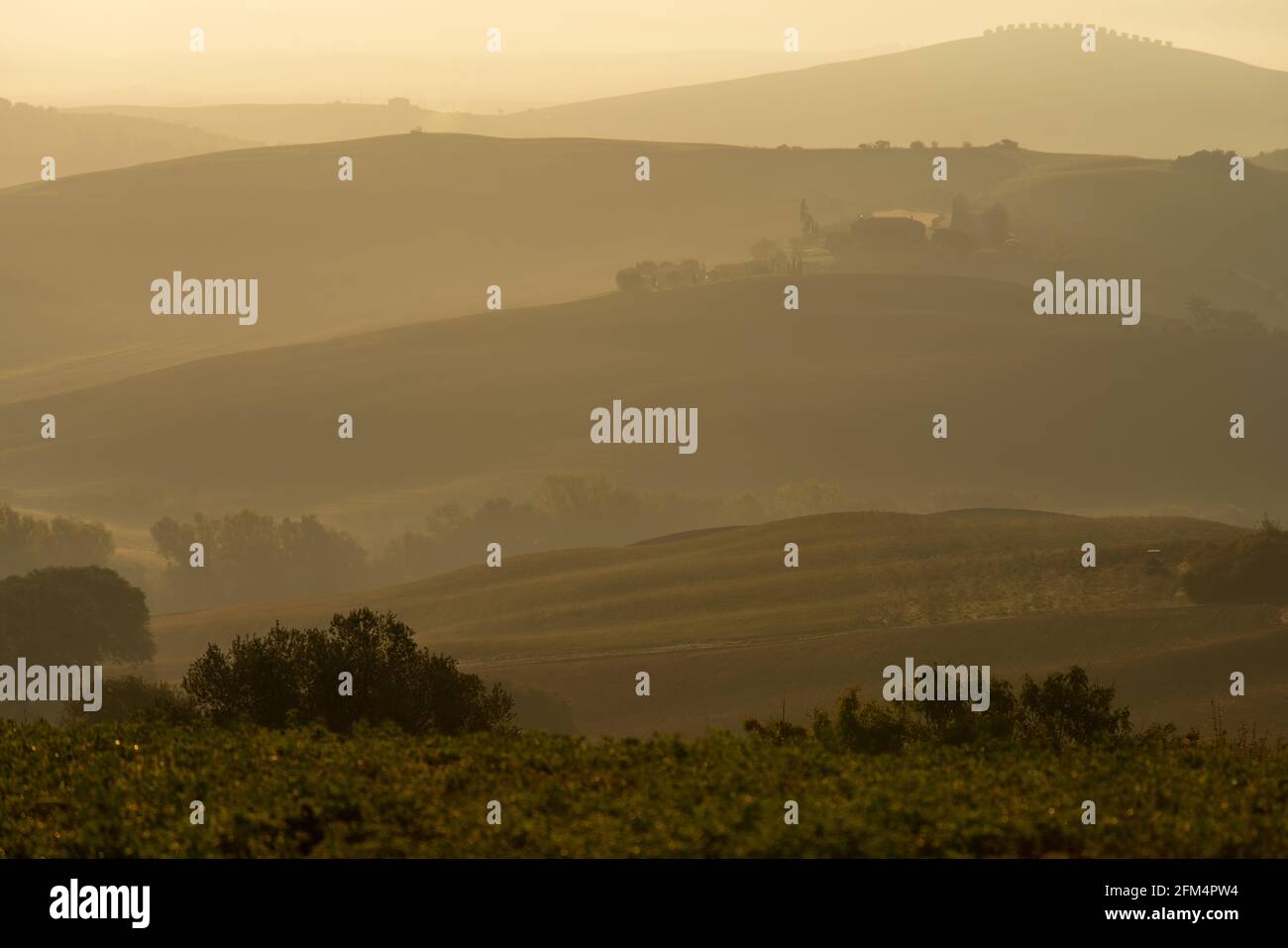 The Tuscan countryside, an Italian landscape on an early autumn morning ...