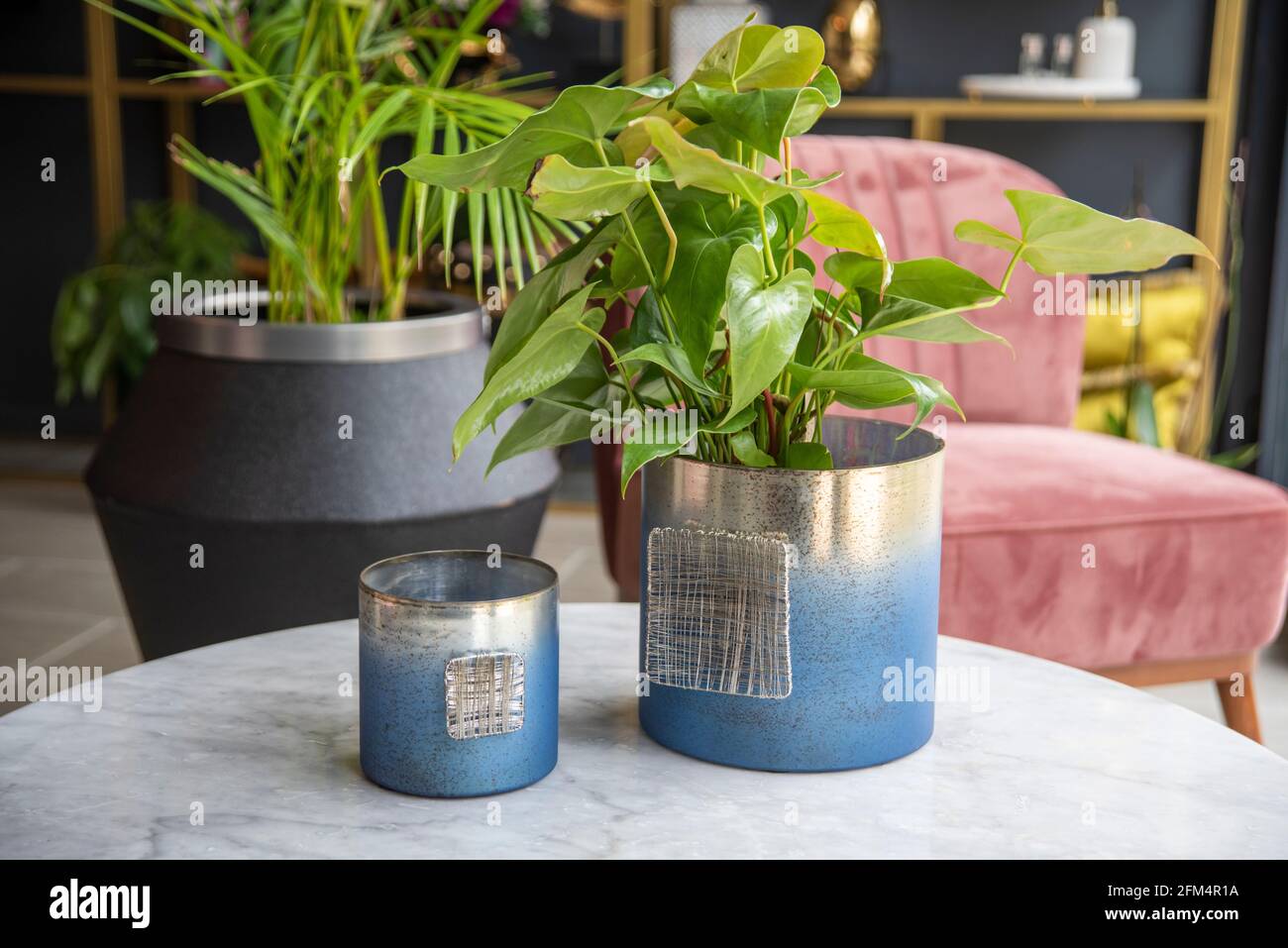 house interior design with decorative objects and plants Stock Photo ...