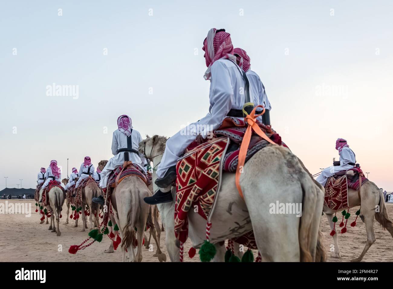 Desert safari camel ride festival in Abqaiq Dammam Saudi Arabia Stock ...