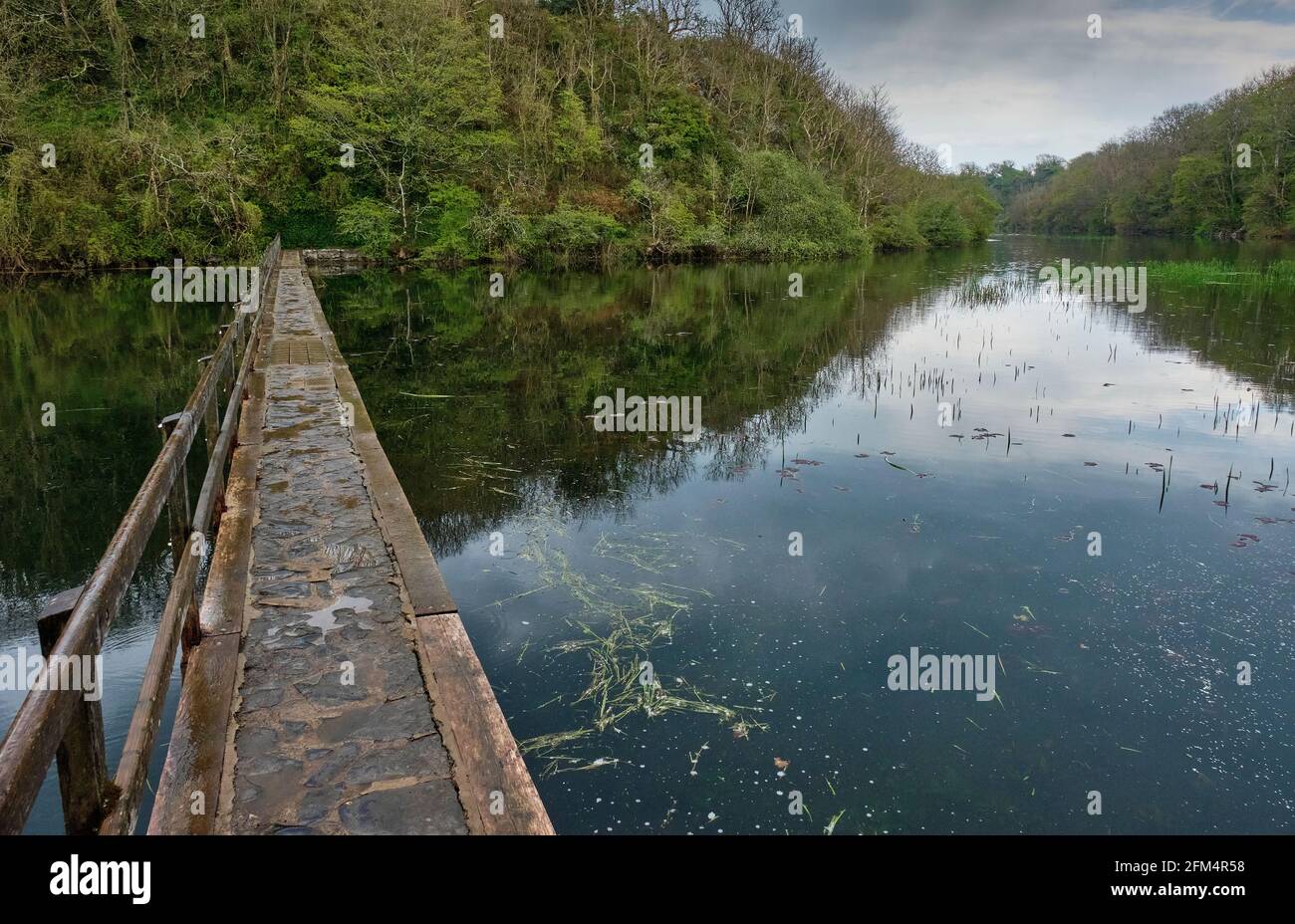 Lily ponds hi-res stock photography and images - Alamy