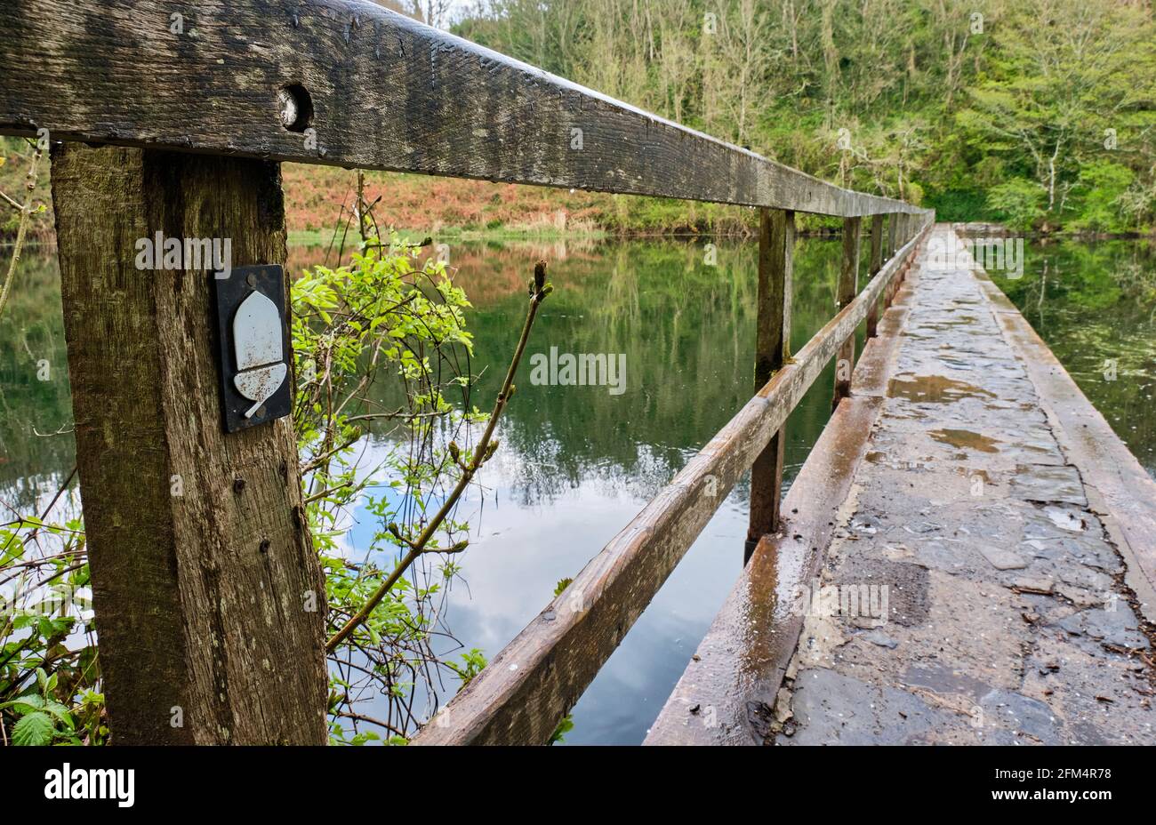 Pembrokeshire Coast path at Bosherton Lily Ponds at Bosherton ...