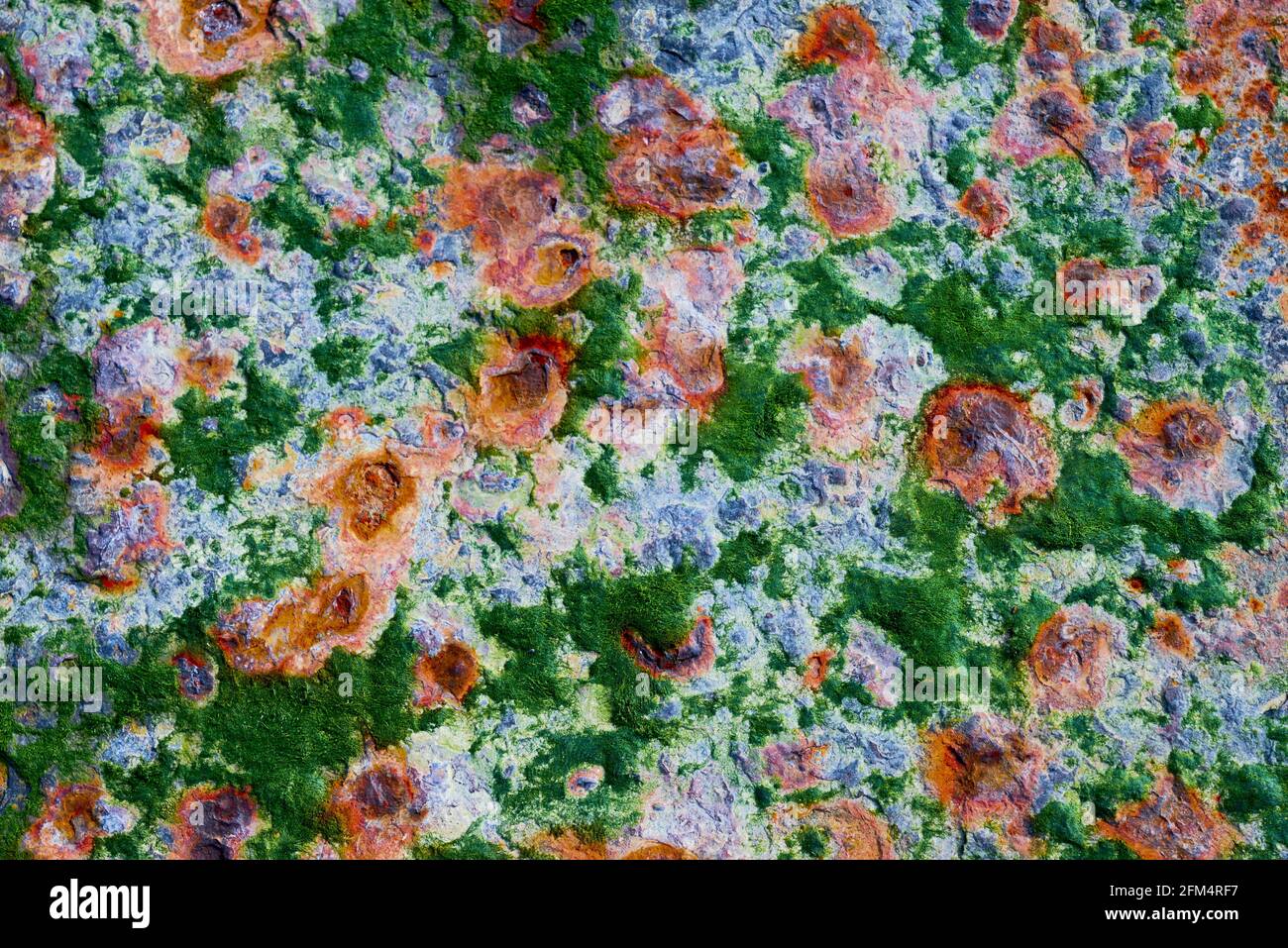 Rusty metal seaweed hi-res stock photography and images - Alamy