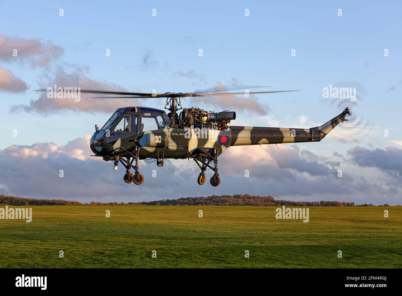 Westland wasp hi-res stock photography and images - Alamy