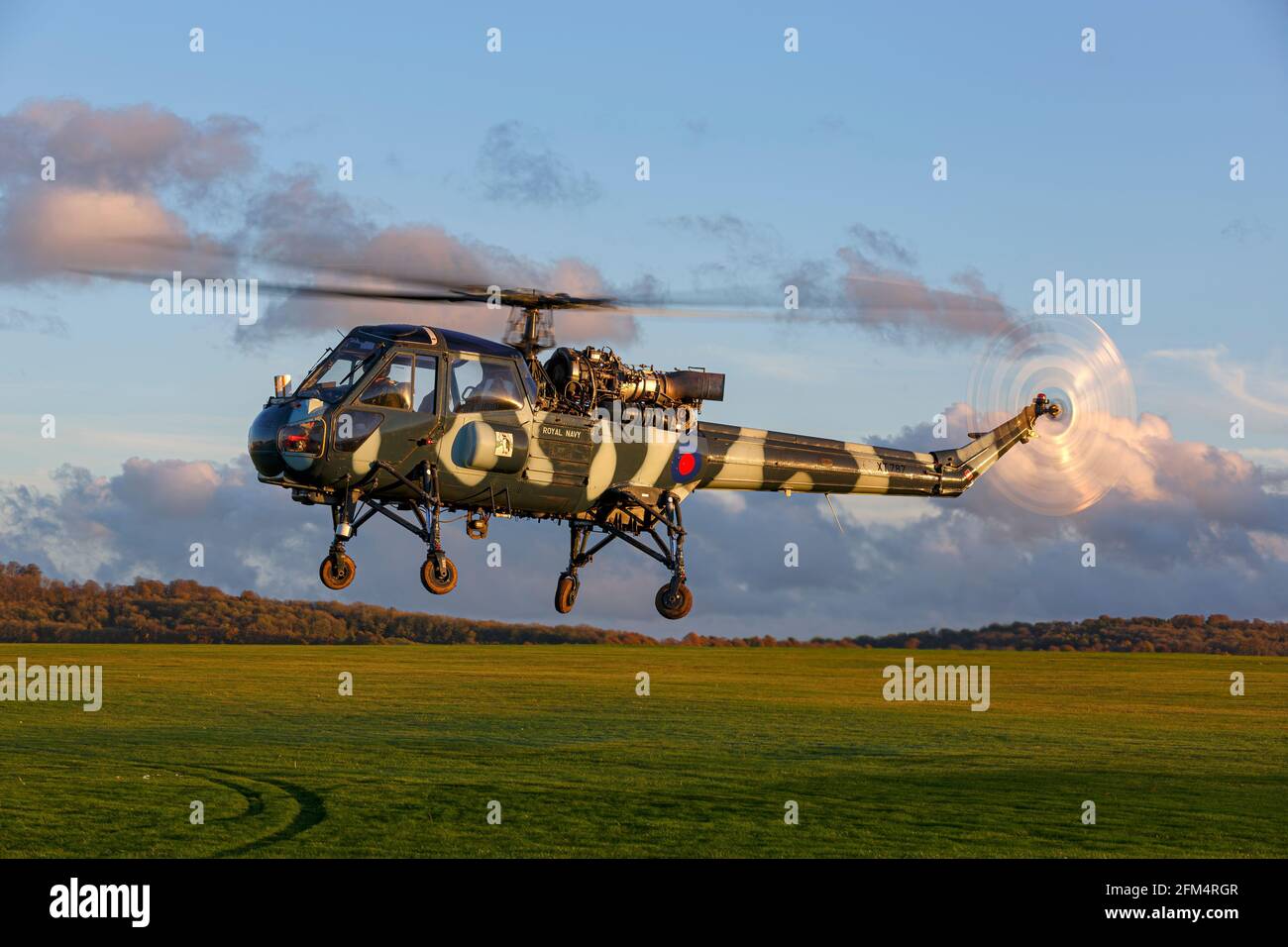 Westland wasp hi-res stock photography and images - Alamy