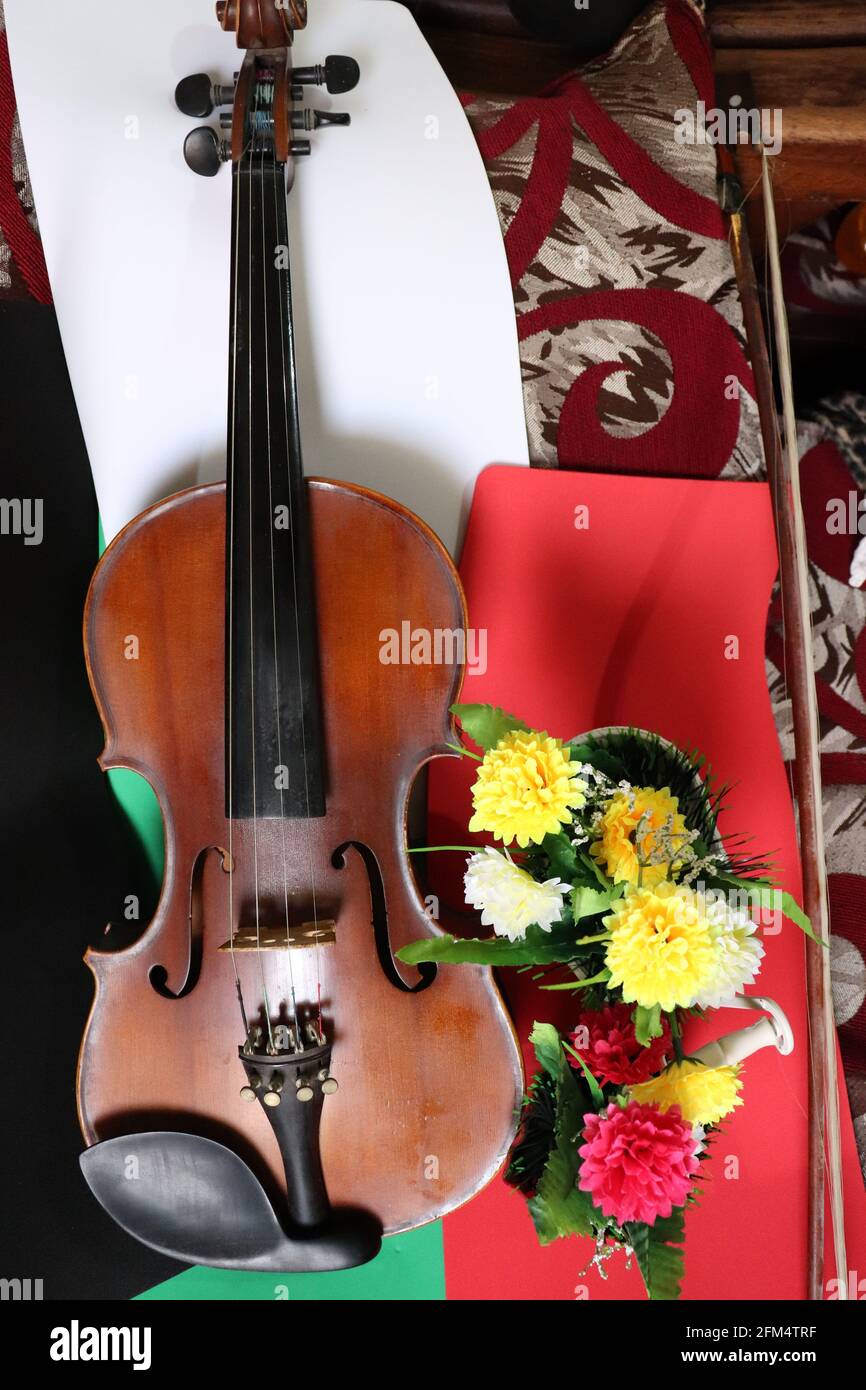 Violin roses hi-res stock photography and images - Alamy