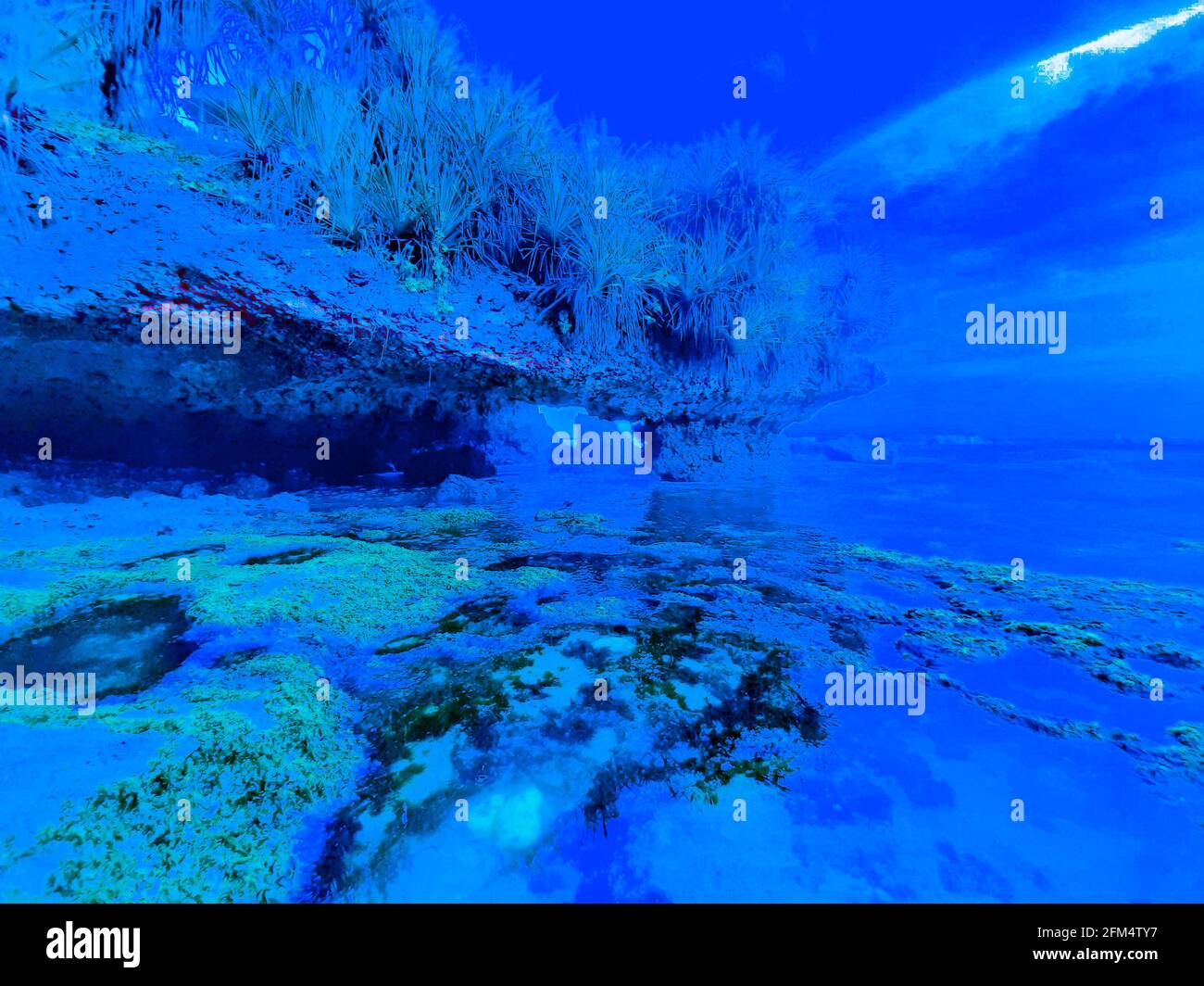 Arctic frost crystals, horizontal hi-res stock photography and images ...