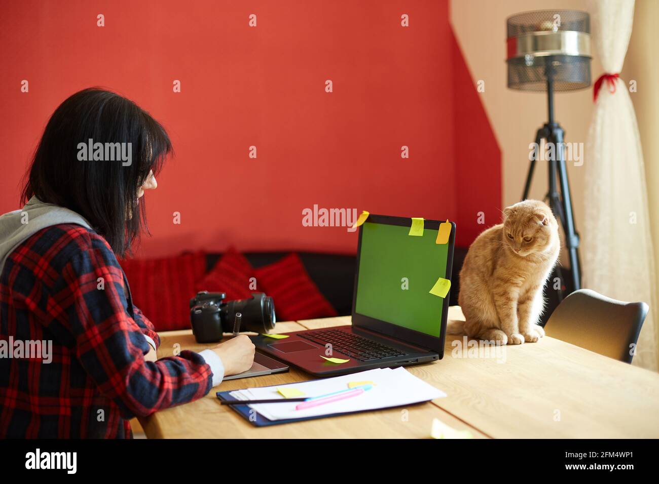 Creative female photographer with cute cat, using graphic drawing ...