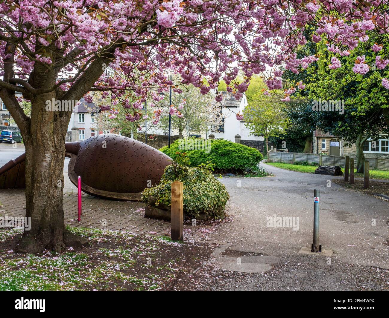 Pink blossom along Jubilee Way in spring in Knaresborough North ...
