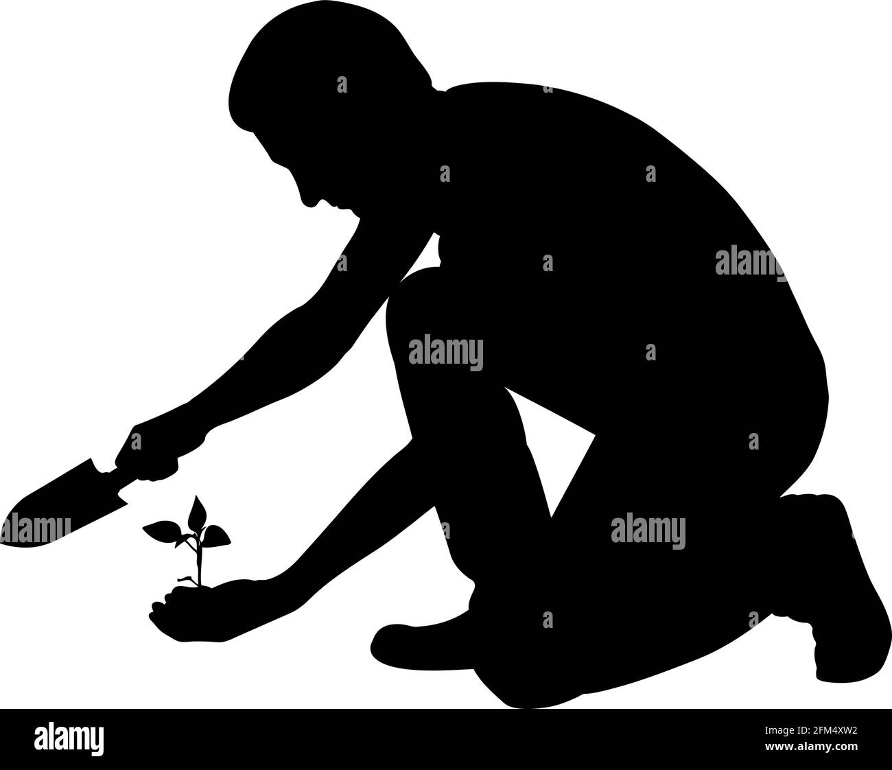 Transplanting plant Stock Vector Images - Alamy