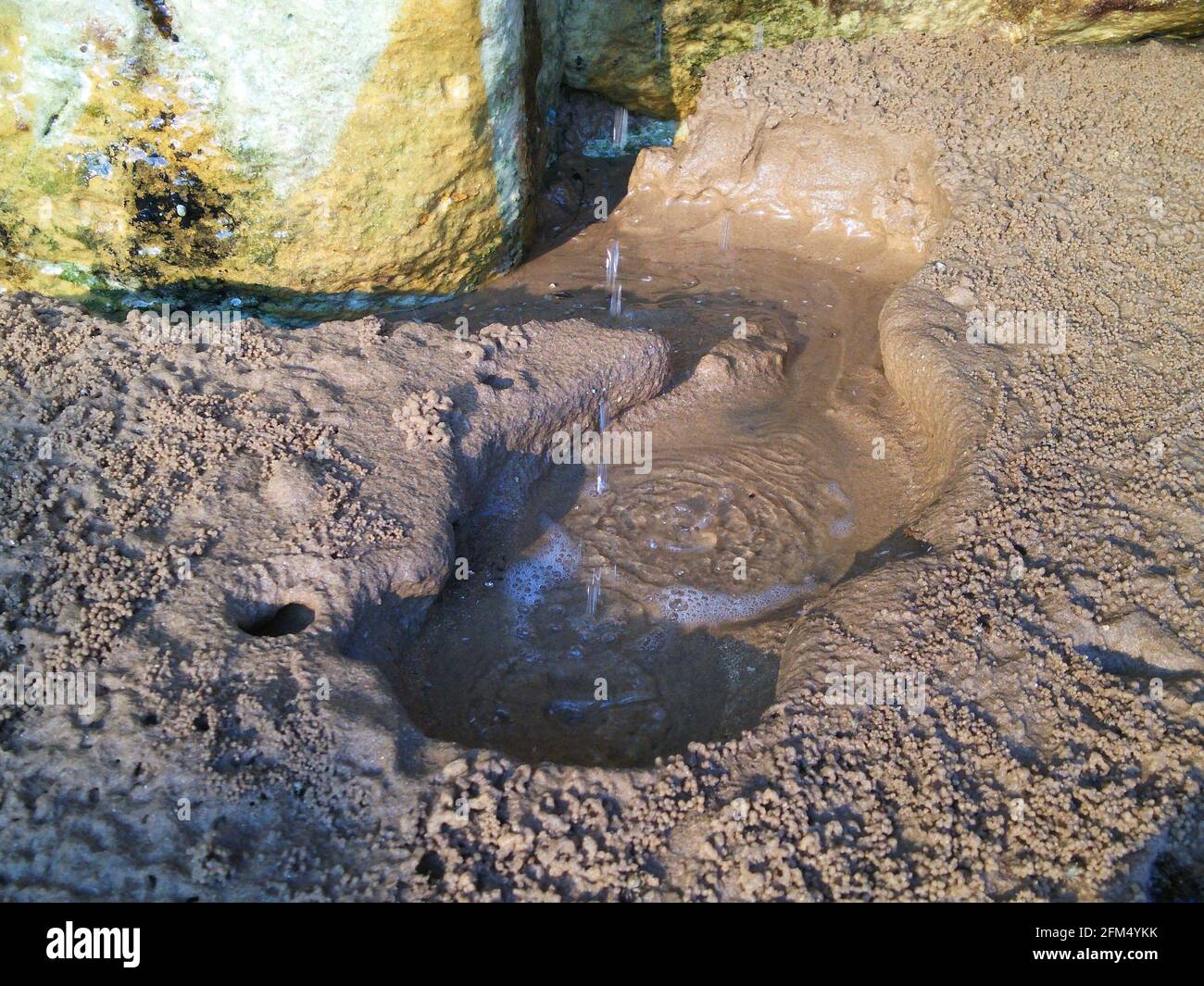 Closeup of the water dripping on the puddle Stock Photo - Alamy