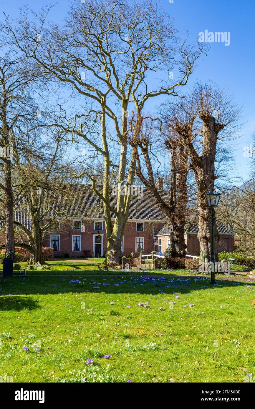 Estate Mensinge in Roden in the Netherlands Stock Photo - Alamy