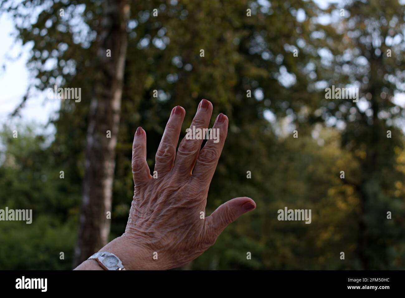 Elderly woman with large hands hi-res stock photography and images - Alamy