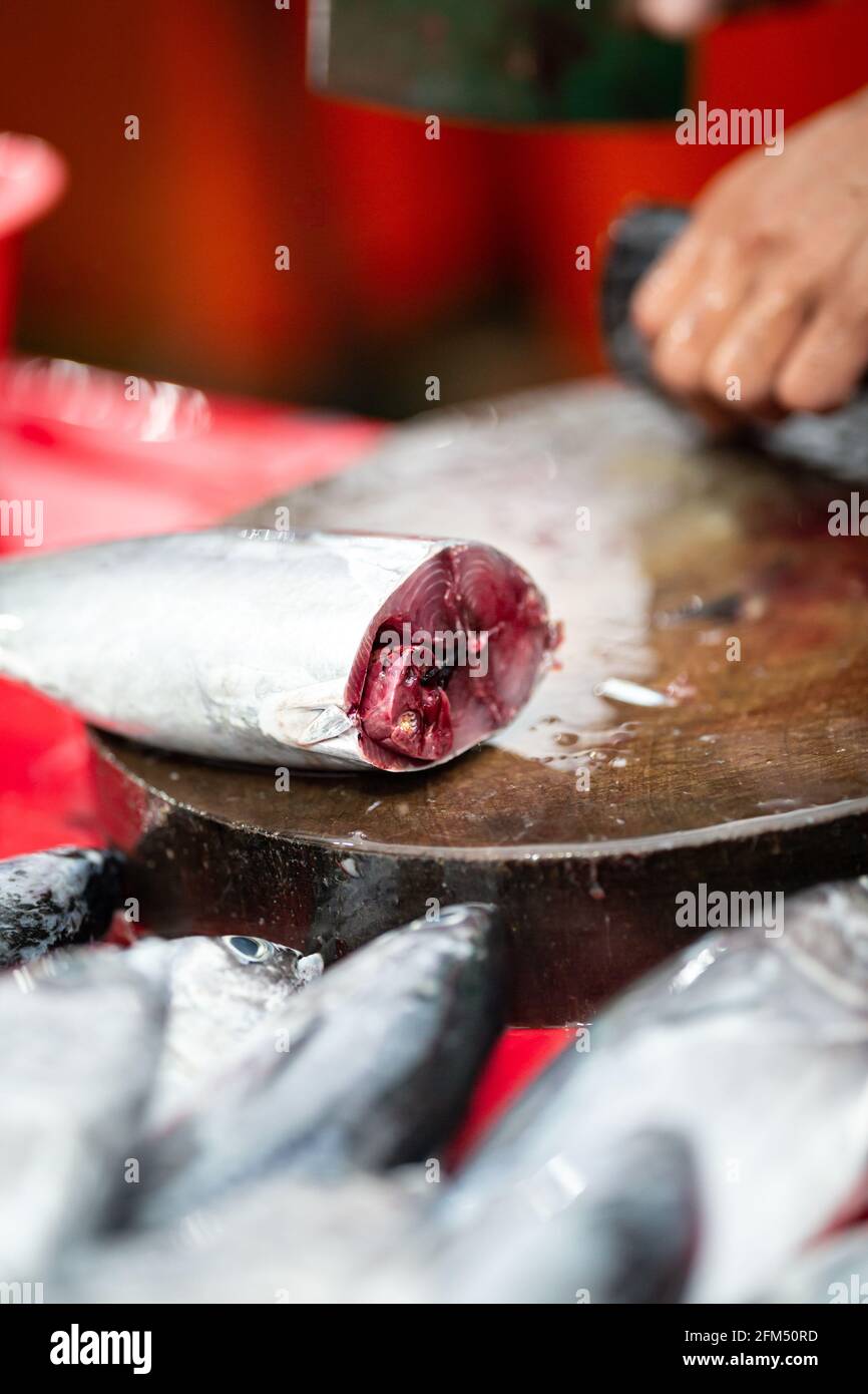 South east asia fish hi-res stock photography and images - Alamy