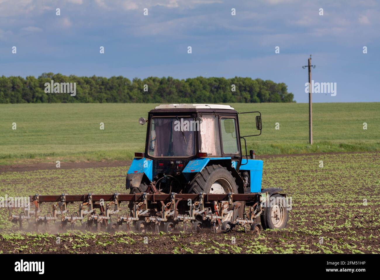 field work in agriculture. farmer's tractor harrows the field after ...