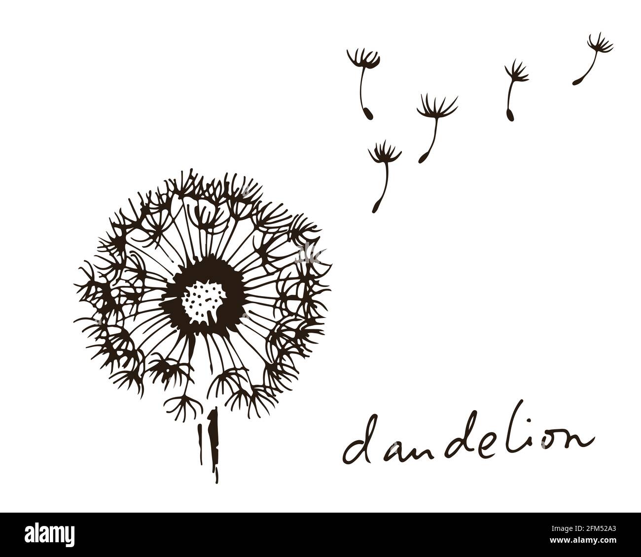 Dandelion vector vectors hi-res stock photography and images - Alamy