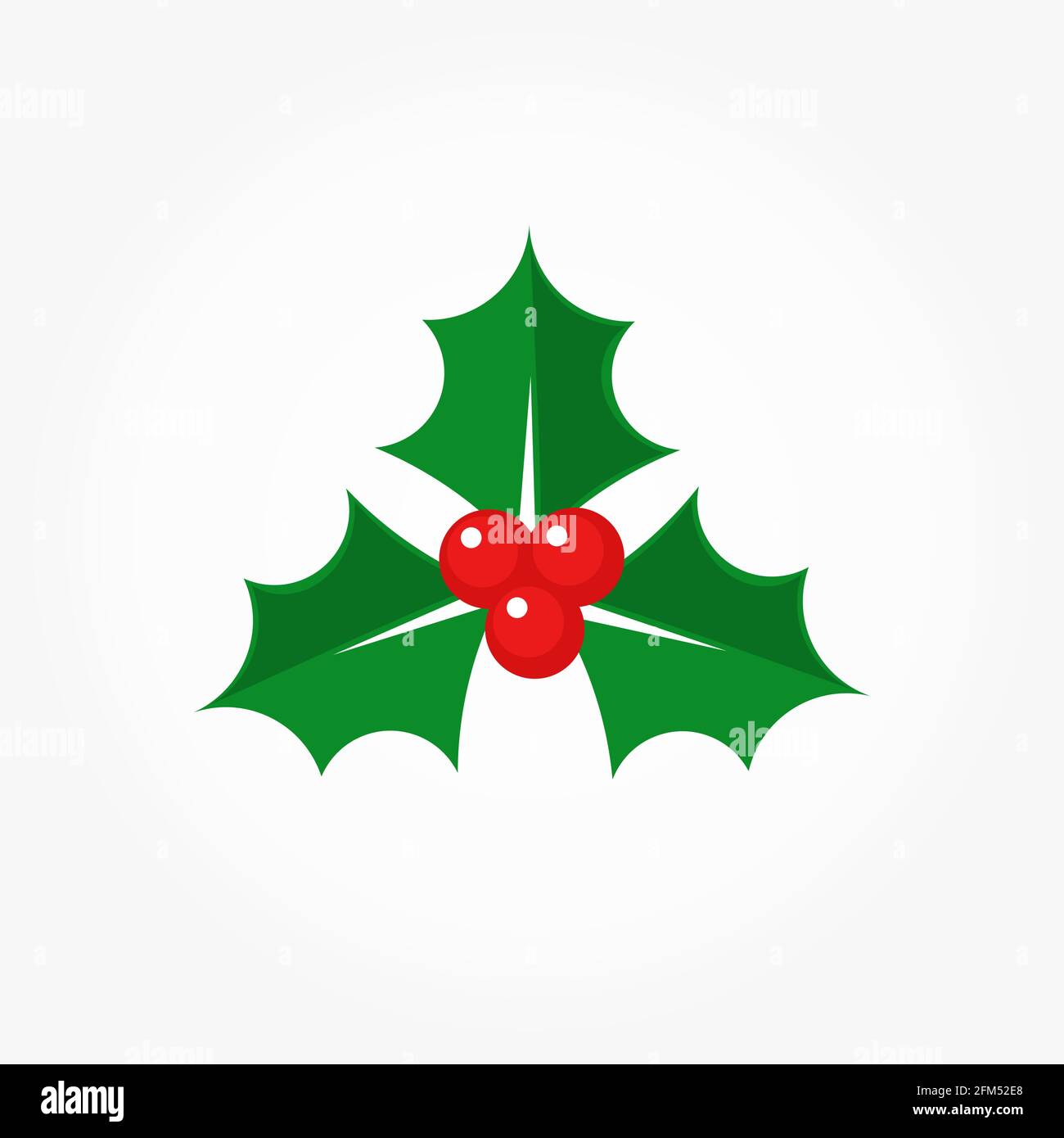 Christmas holly. Vector illustration Stock Vector Image & Art - Alamy