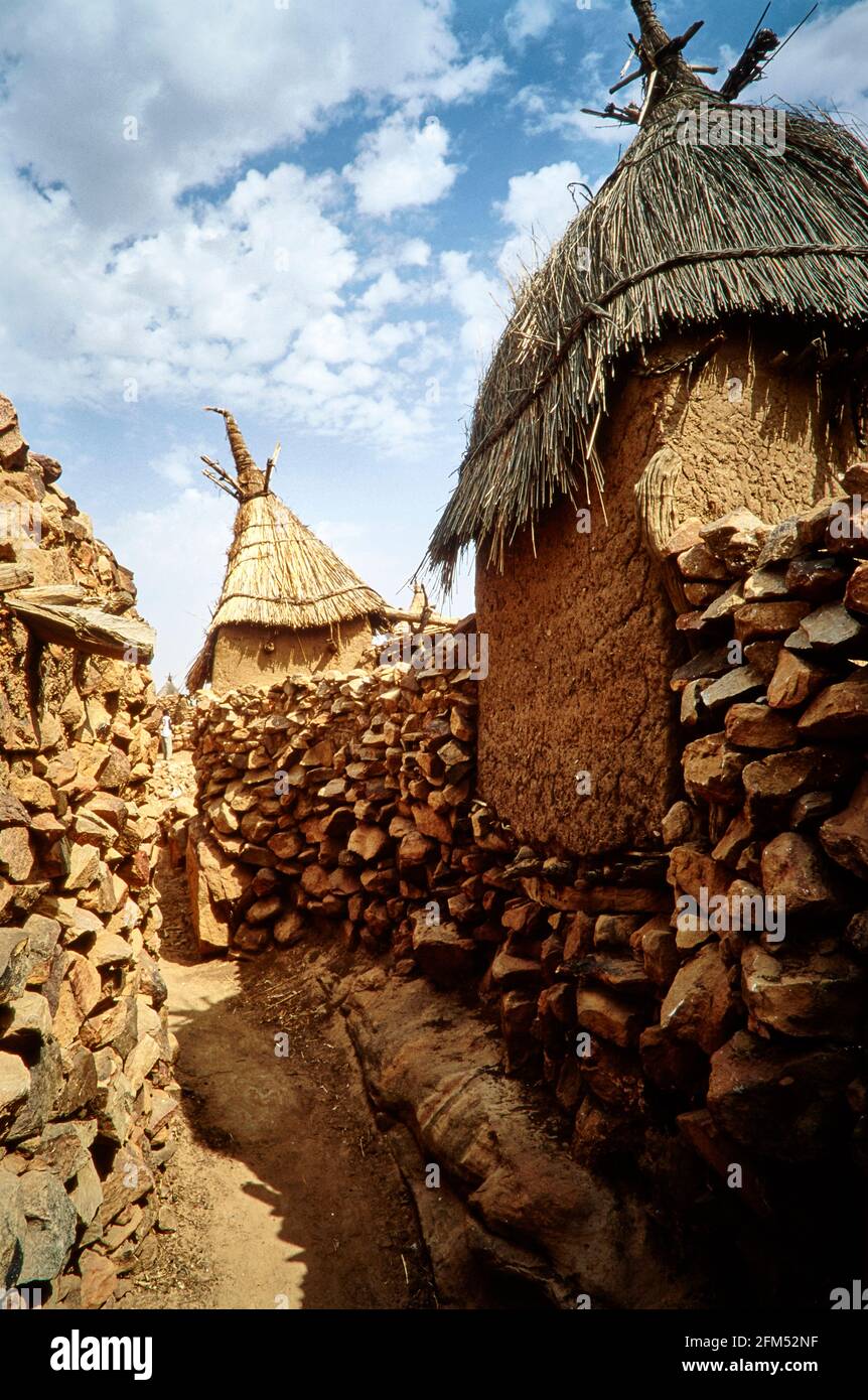 Storage huts with the typical pointed roofs in a Dogon village at the ...