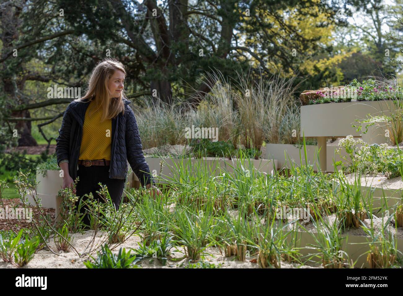 Plantscapes hi-res stock photography and images - Alamy