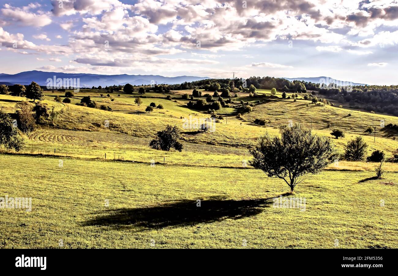 Sparse trees hi-res stock photography and images - Alamy