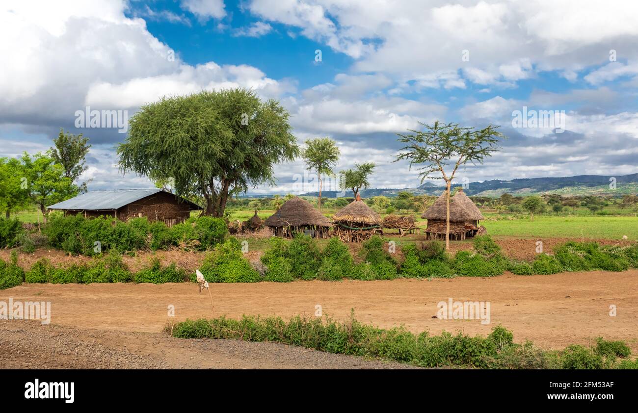 Ethiopian landscape with traditional ethiopian houses, small farm with ...