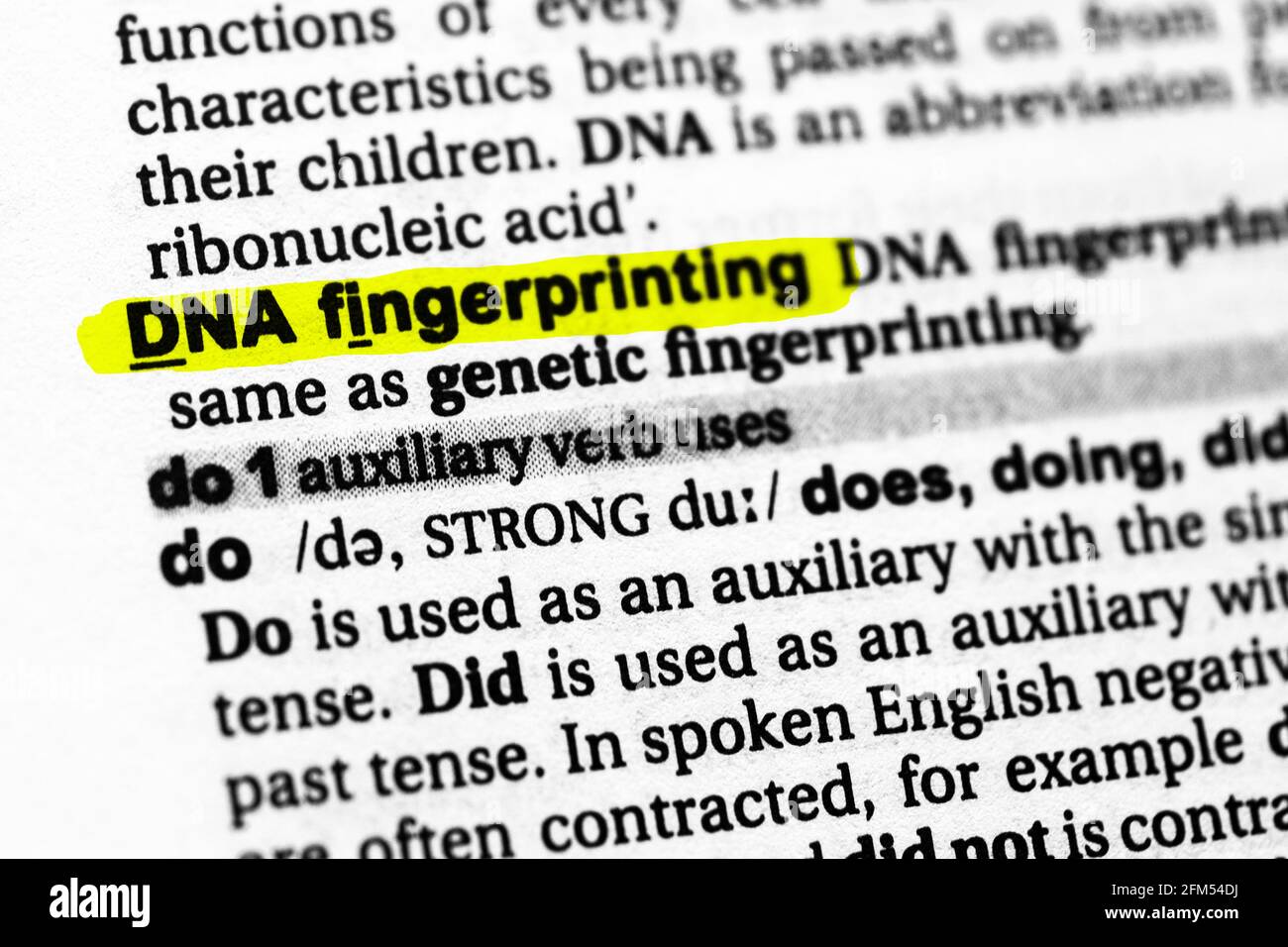 Highlighted word dna fingerprinting concept and meaning Stock Photo - Alamy