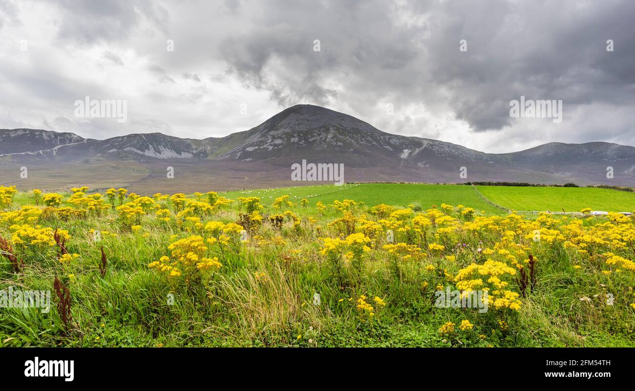 Silurian quartzite hi-res stock photography and images - Alamy