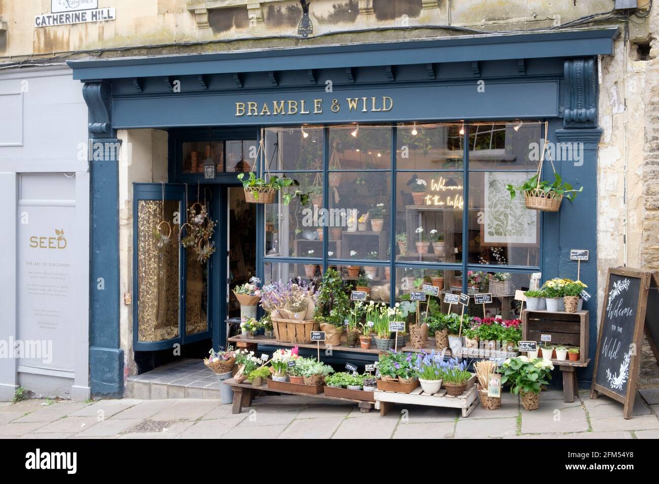 Pavement display by Bramble and Wild Catherine Hill in Frome an ...