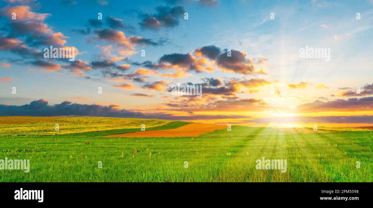 Sunset in the farm hi-res stock photography and images - Alamy