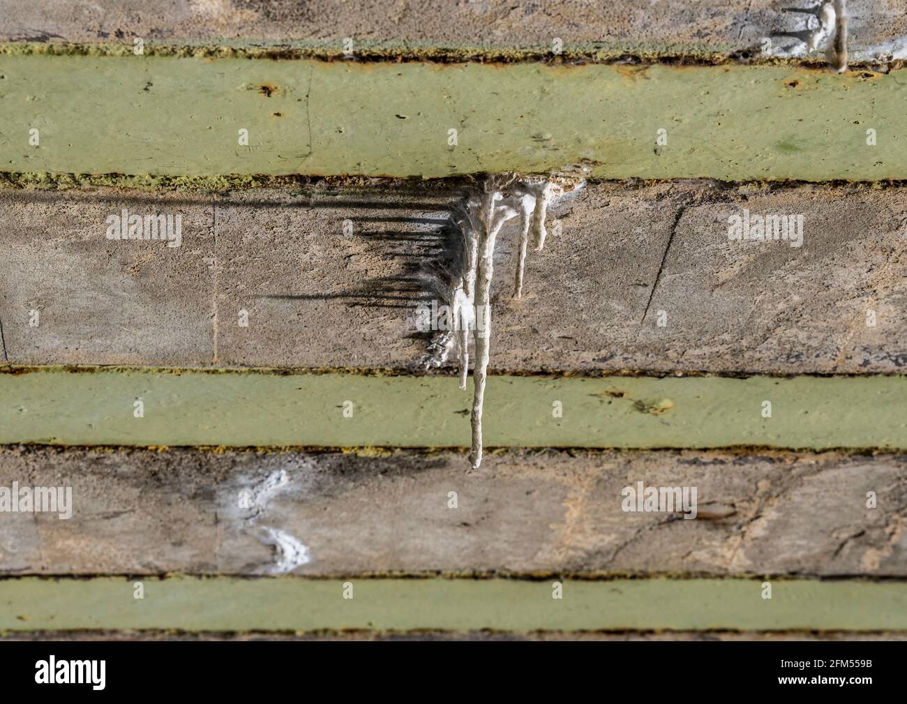 Stalactites of calcium carbonate on the underside of a concrete and ...