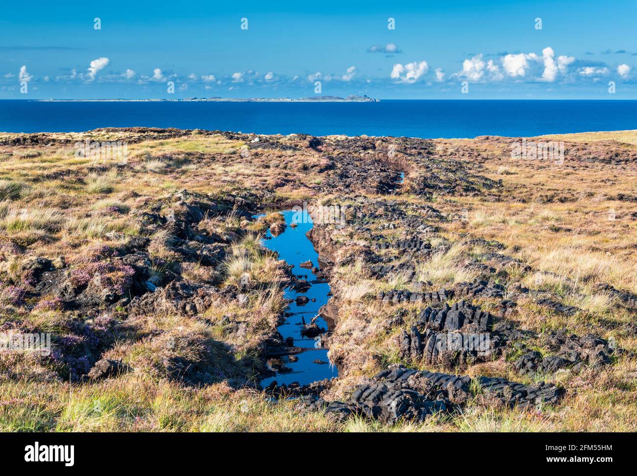 Cut peat bog with sods of turf cut for fuel, left out to dry, near ...