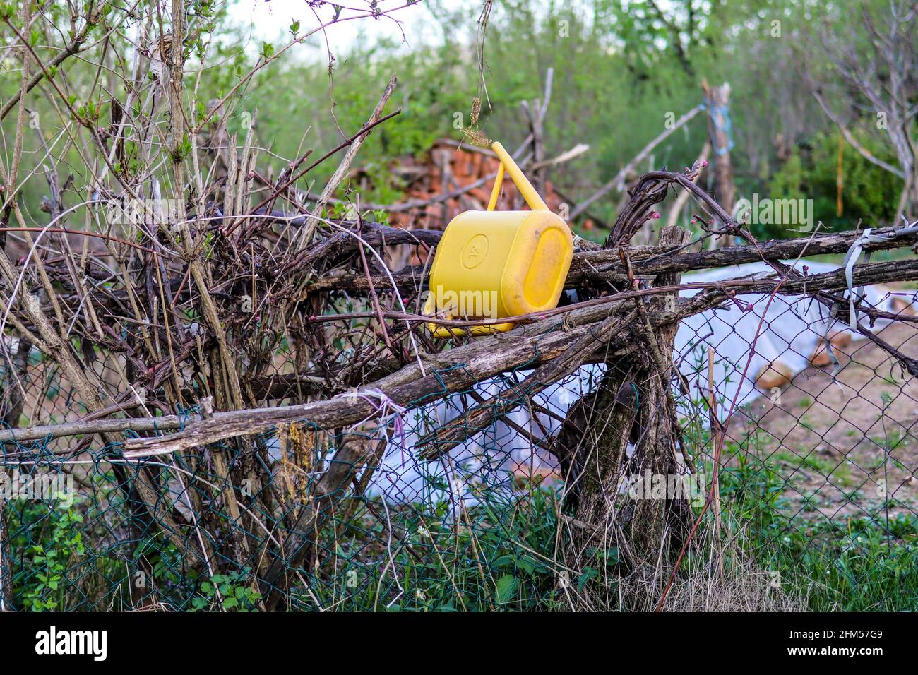Yellow water bucket hi-res stock photography and images - Alamy