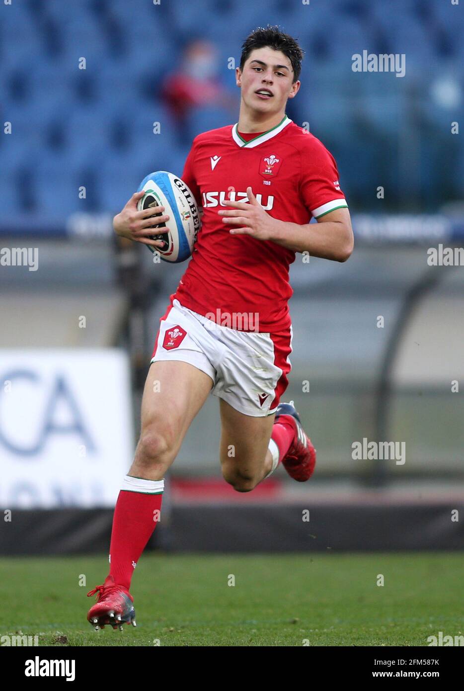 Louis rees zammit lions hi-res stock photography and images - Alamy