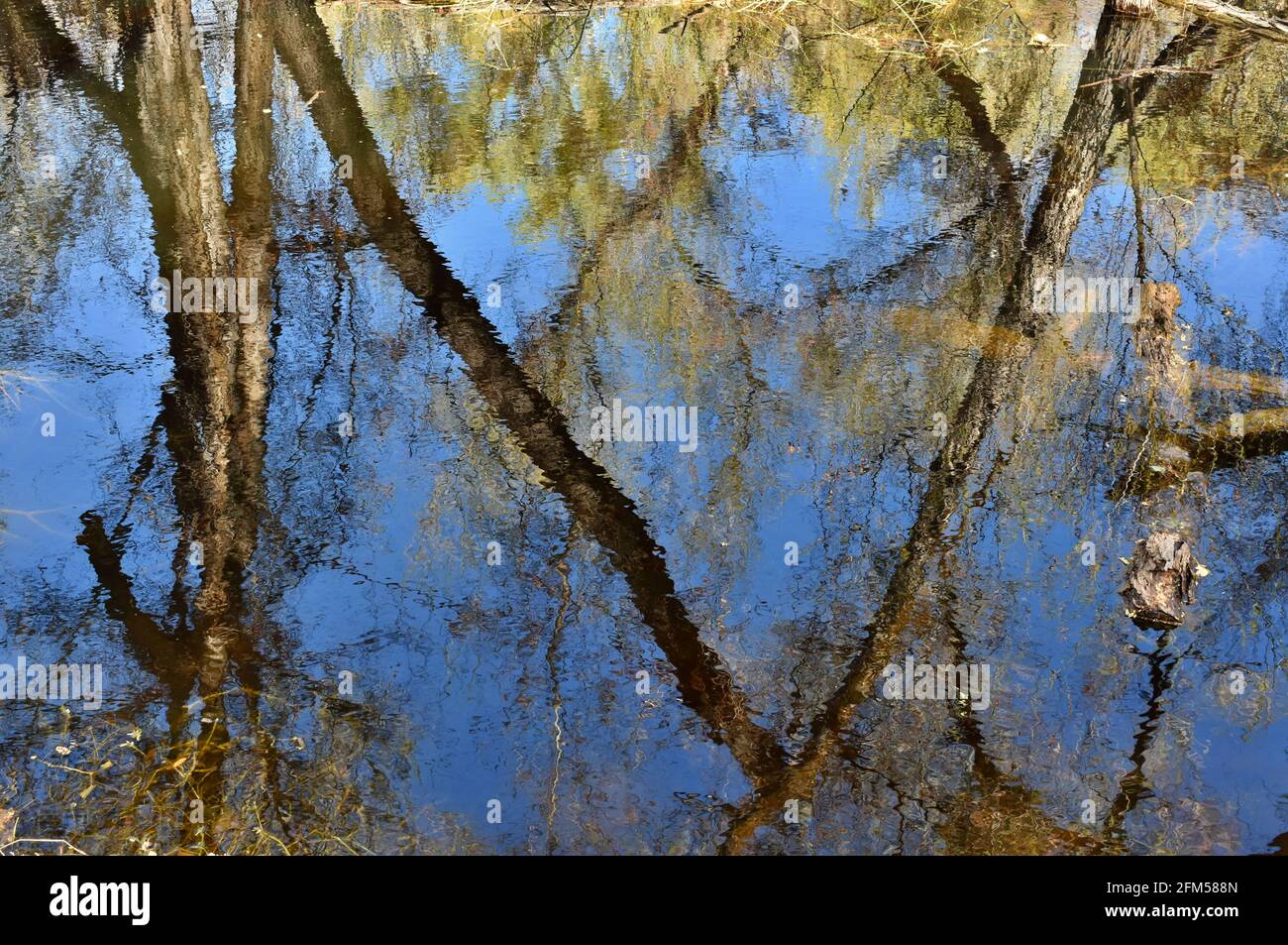 Reflections of environment hi-res stock photography and images - Alamy