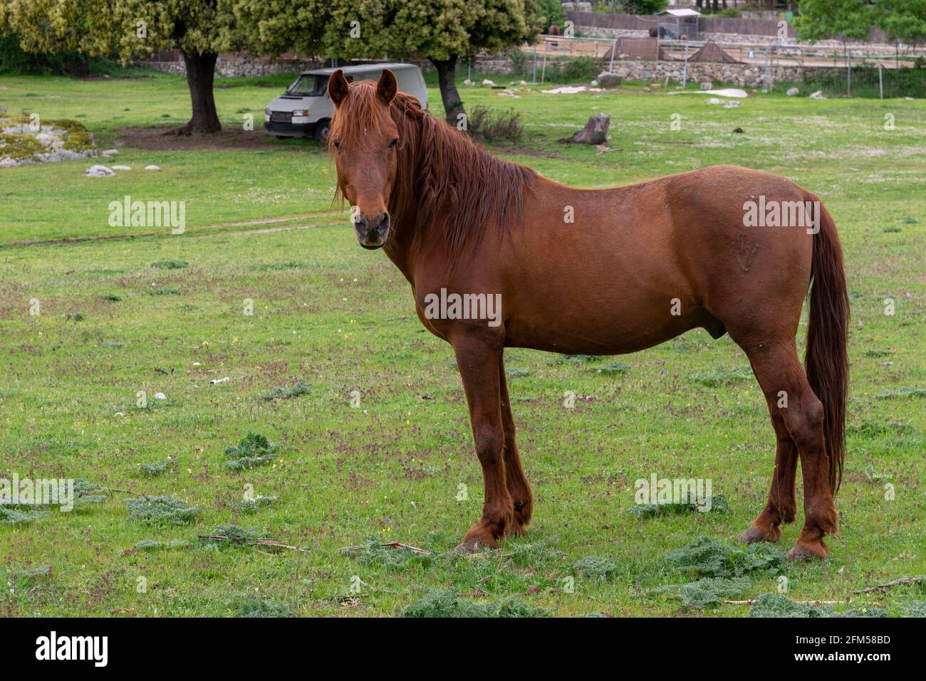 Simply beautiful beautiful young hi-res stock photography and images ...