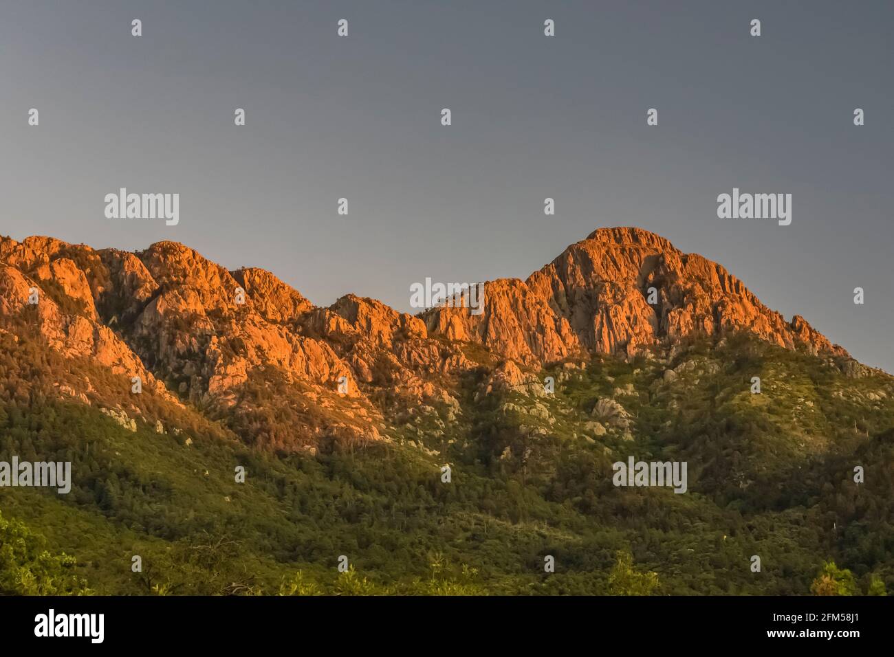 Wasson Peak in the Tucson Mountains in warm light of sundown, Saguaro ...