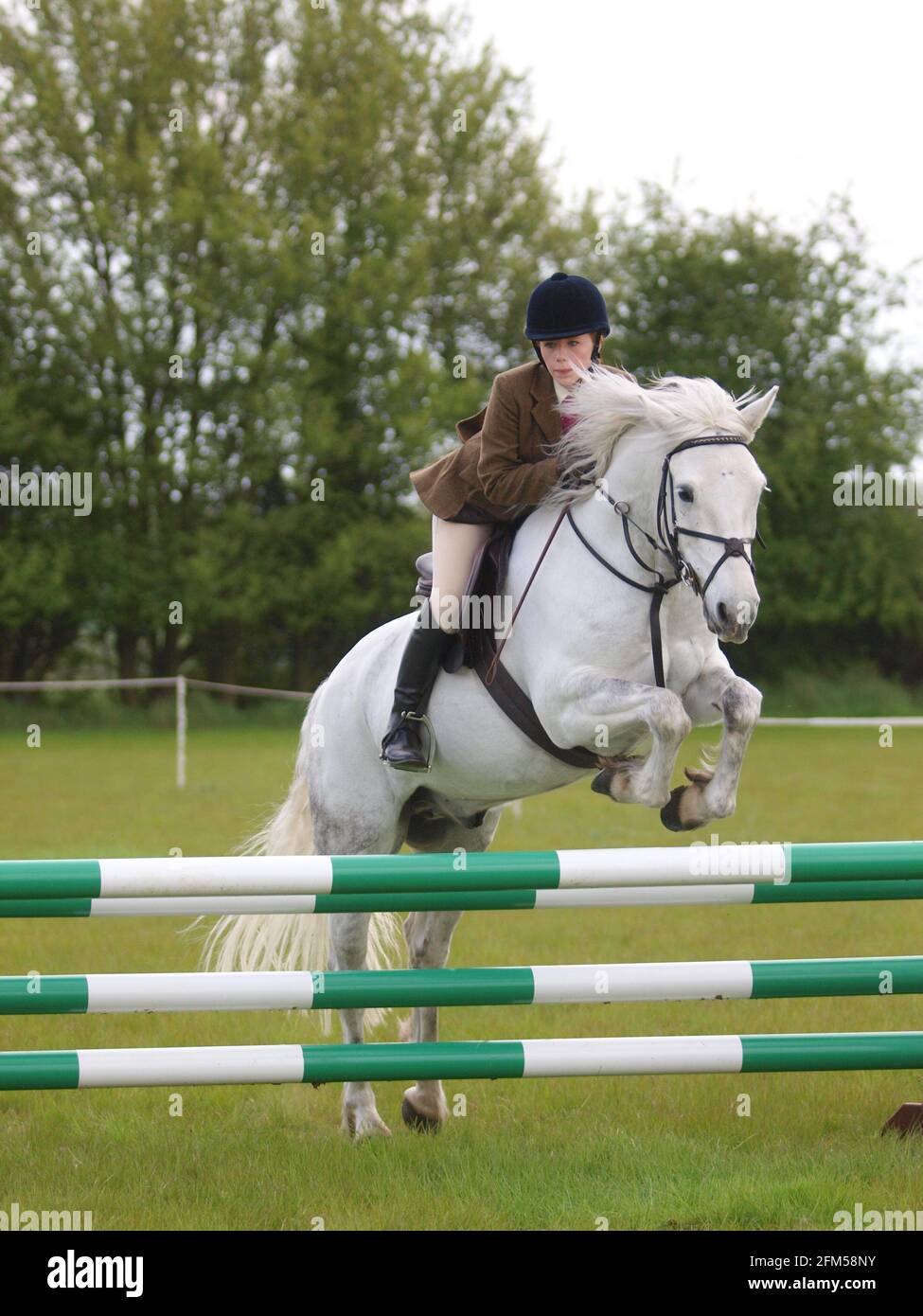 Training for equestrian show hi-res stock photography and images - Alamy