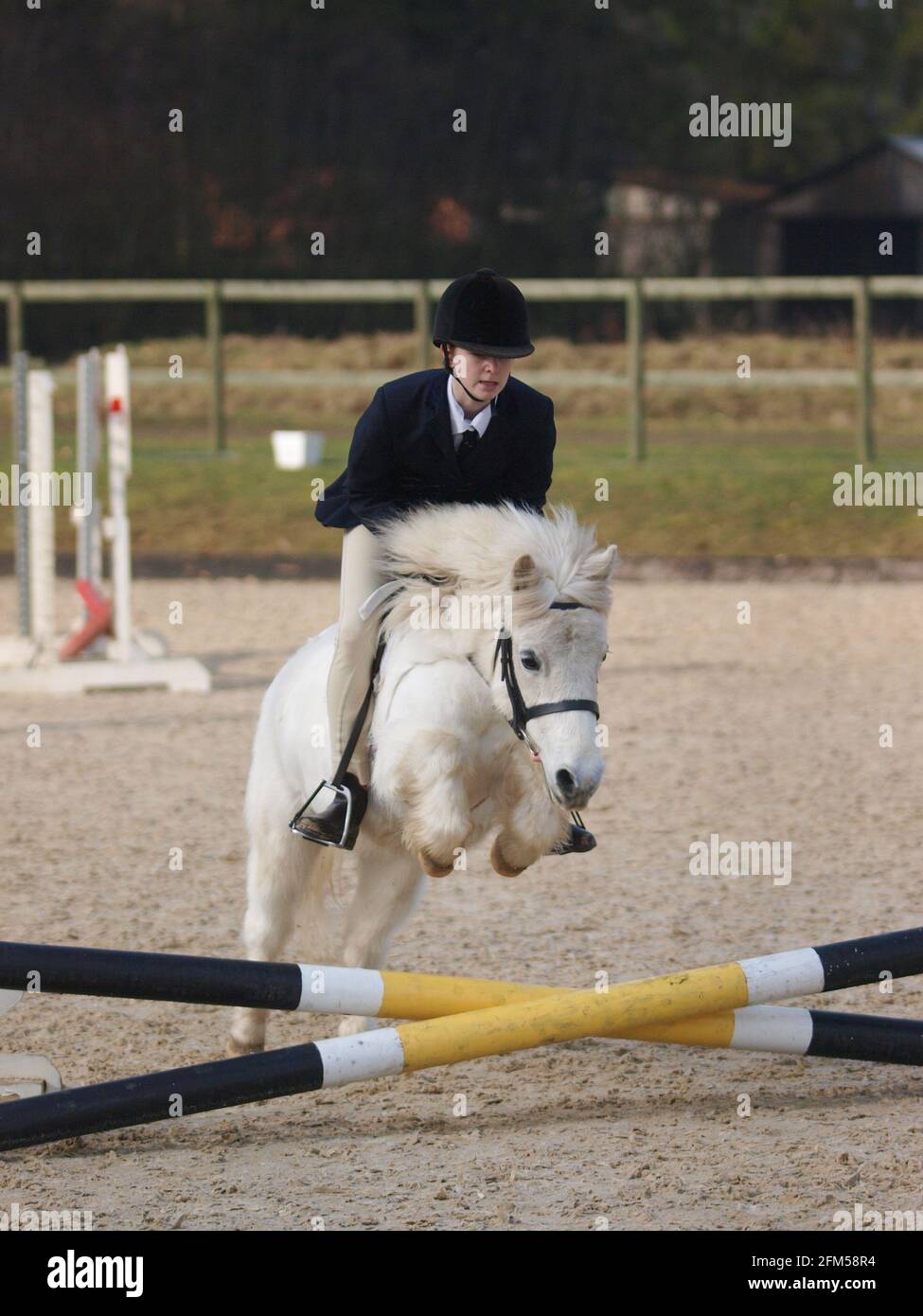 A grey pony and rider clearing a coloured show jump Stock Photo - Alamy