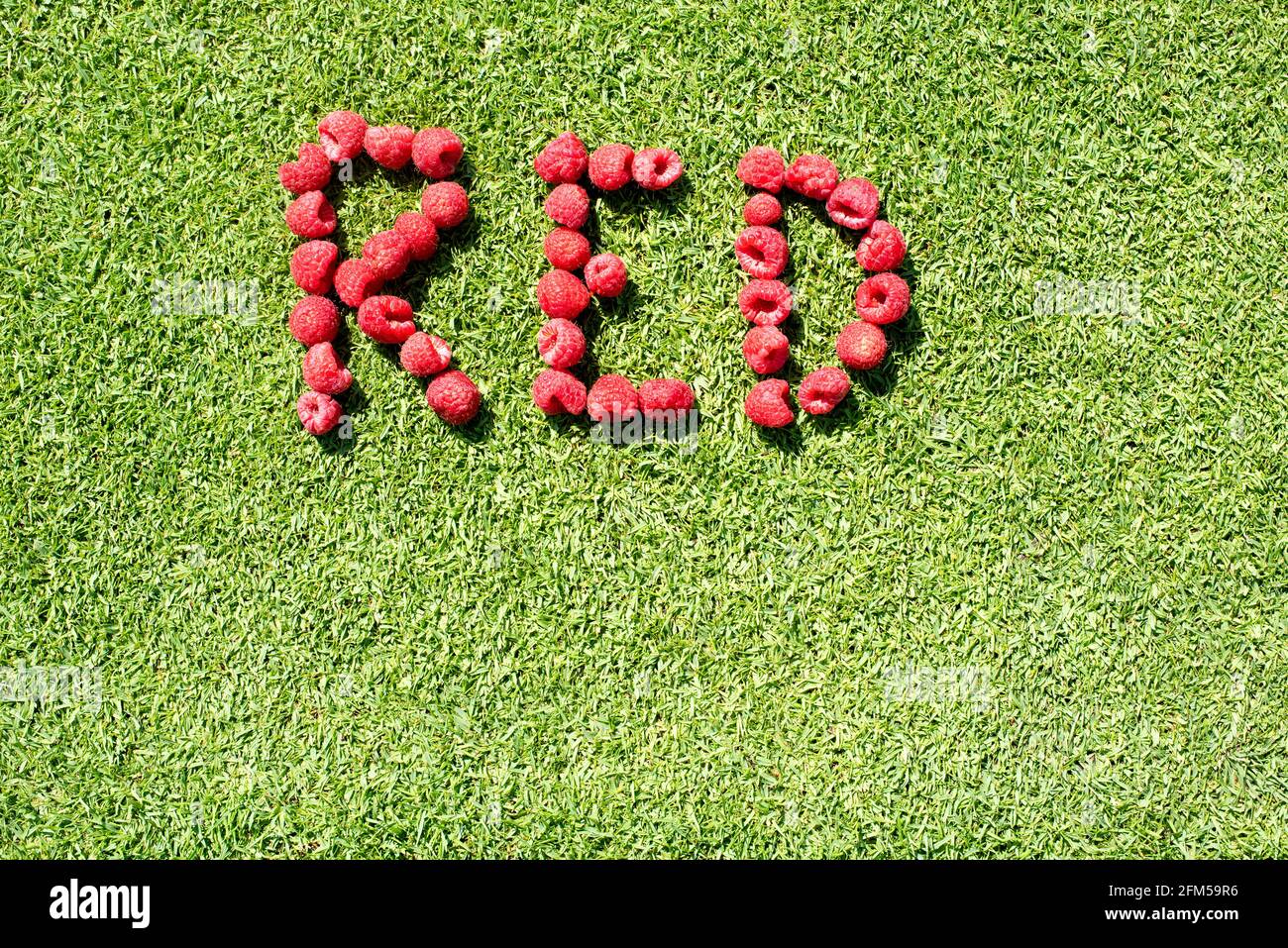 RED text in a green meadow with red berries. Promotion of the word RED ...