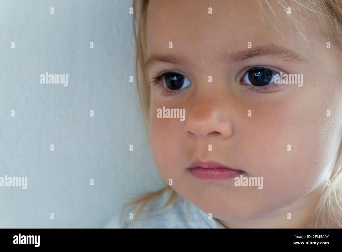 Portrait of cute little caucasian child at white background Stock Photo ...