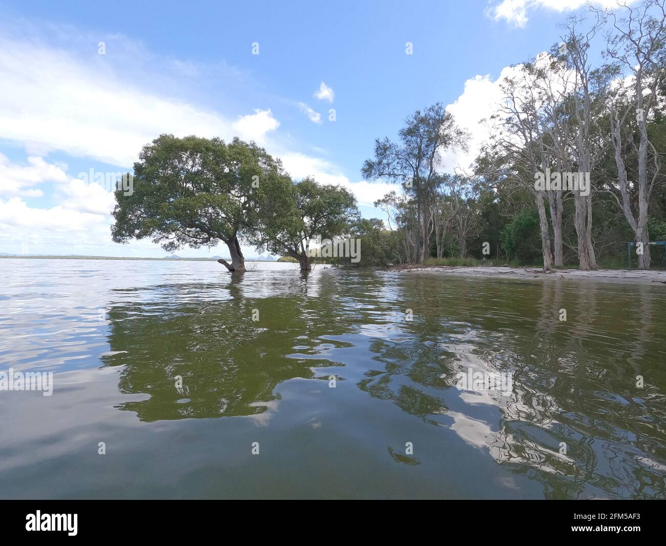 Bribie island wildlife hi-res stock photography and images - Alamy