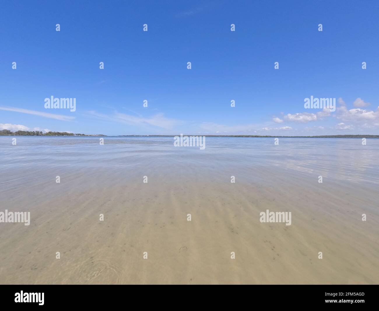 View of the shoreline mangroves from a kayaking trip in Bribie Island ...