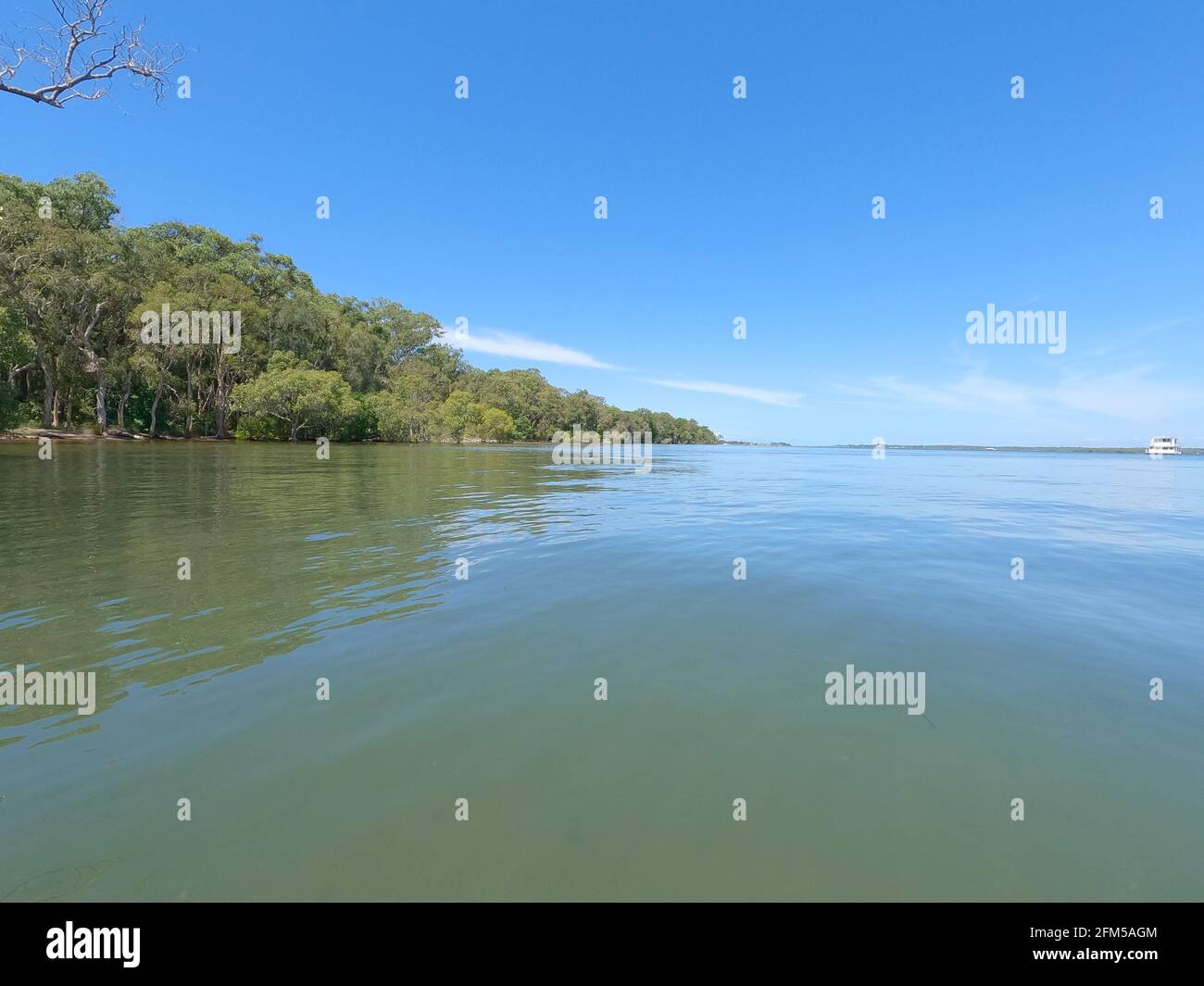 View of the shoreline mangroves from a kayaking trip in Bribie Island ...